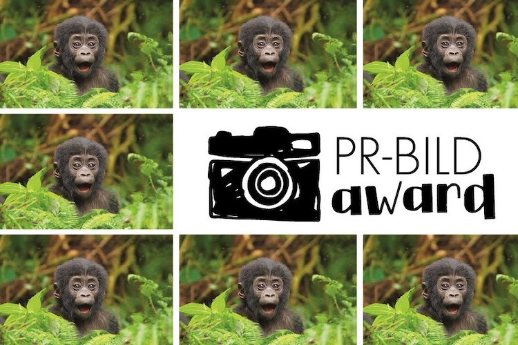 PRReport | PR-Bild Award 2022: Voting-Countdown läuft